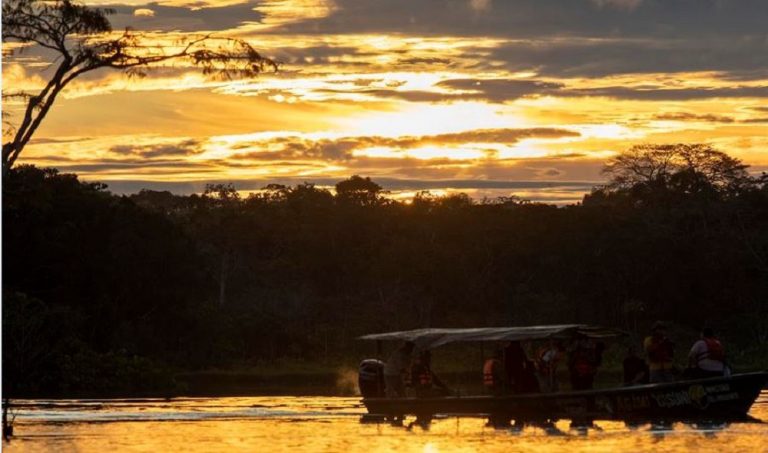 Así es la cautivadora ruta al Parque Nacional Yasuní Así es la cautivadora ruta al Parque Nacional Yasuní