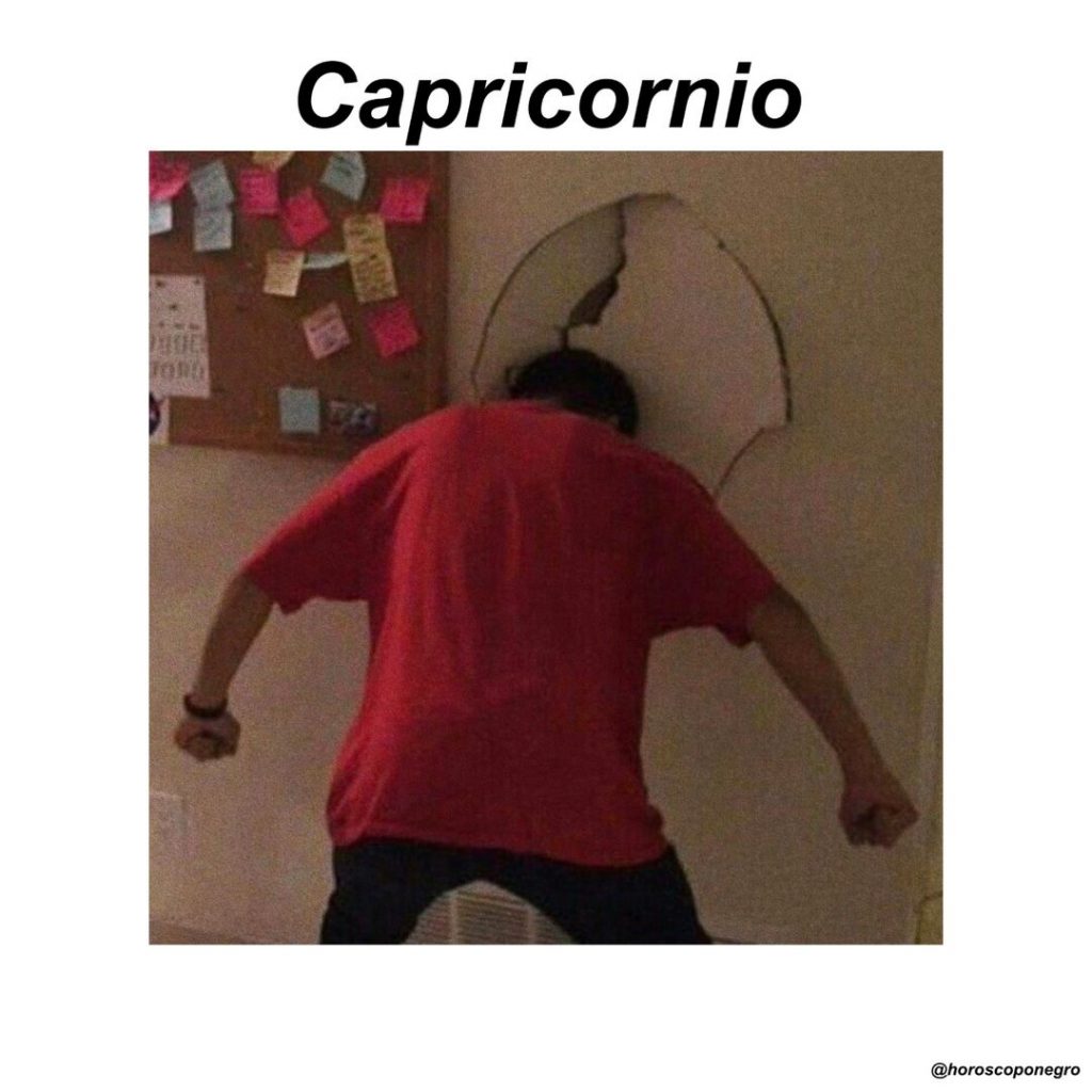 Memes: Este es el mimo que va con tu personalidad según tu signo