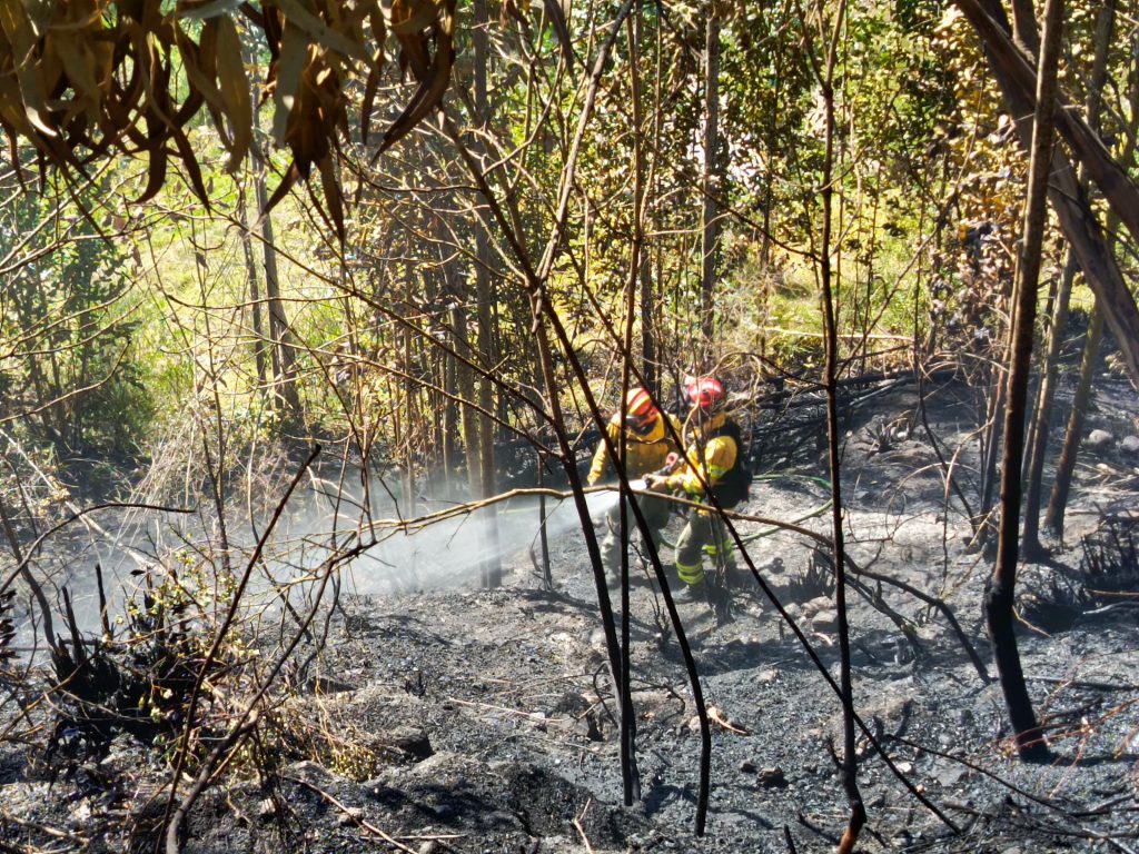 ¿Cómo afectan los incendios forestales a Ecuador?