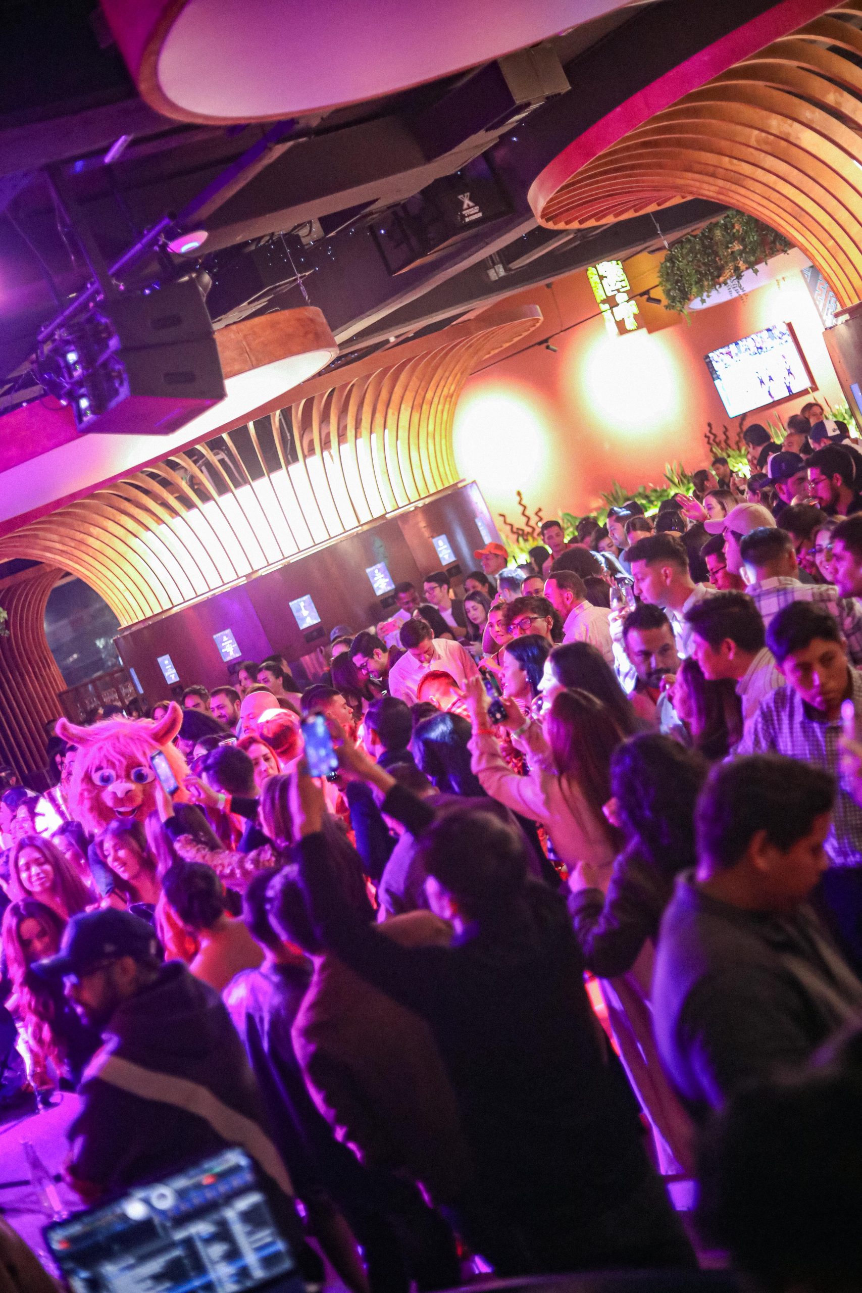 Katari abre su tercer local en Quito: ¿cuáles son sus propuestas?