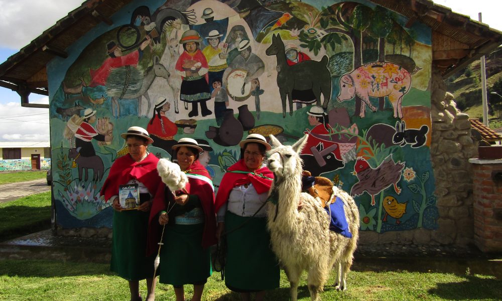 Todo lo que puedes hacer en Riobamba: del Chimborazo a la Moya