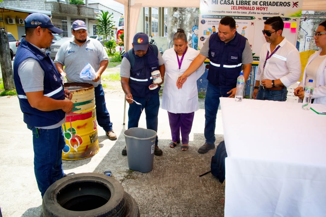 Dengue en Ecuador: MSP trabaja en contener casos ante repunte