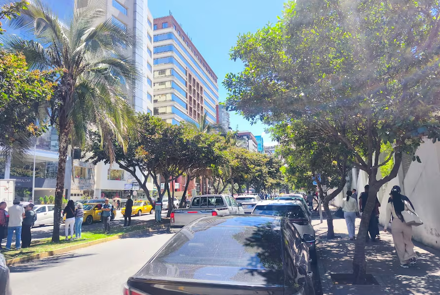 Quito enfrenta aumento de plagas urbanas de ratas y palomas